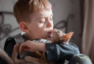 Sintomas ng Rabies ng Pusa sa Bata - Gamot Sa Bata